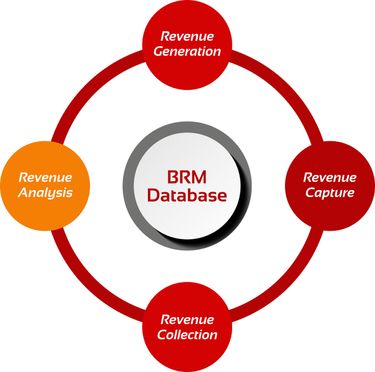 Oracle BRM Lifecycle: Understanding and Testing the Components - Aarav ...