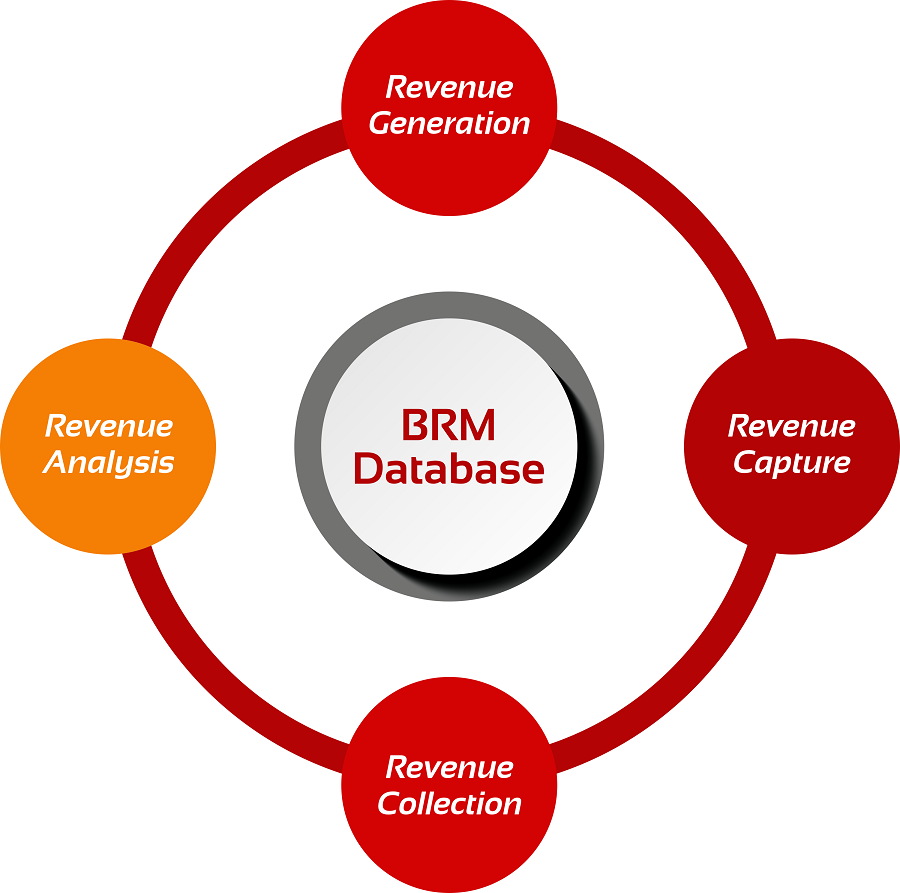 Oracle BRM Lifecycle: Understanding and Testing the Components - Aarav ...